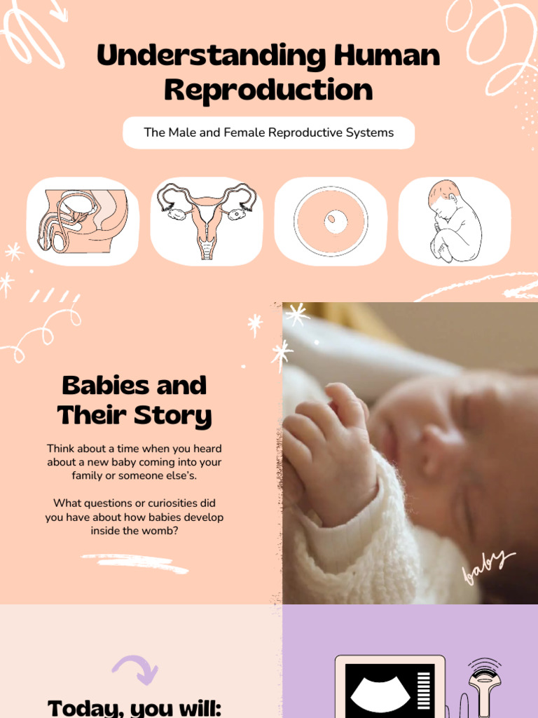 Understanding Human Reproduction Education Presentation in Peach Violet ...