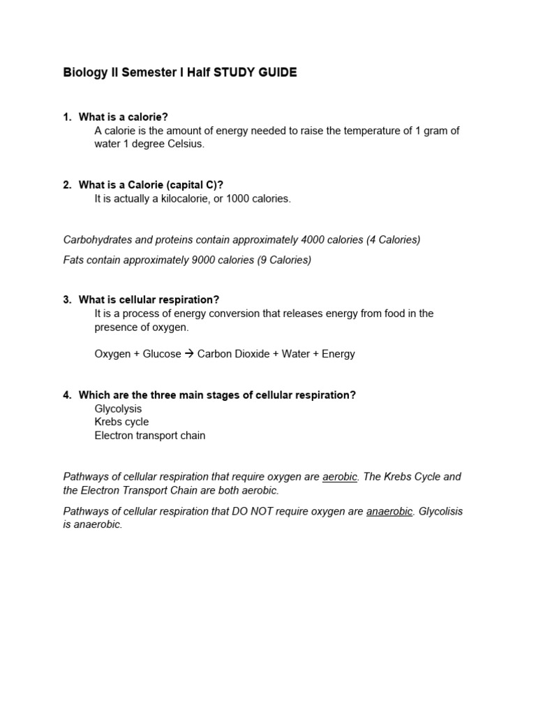 Biology Study Guide | PDF | Cellular Respiration | Adenosine Triphosphate