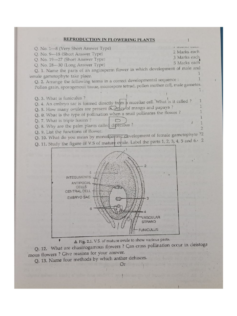 Assignment CH-2 | PDF