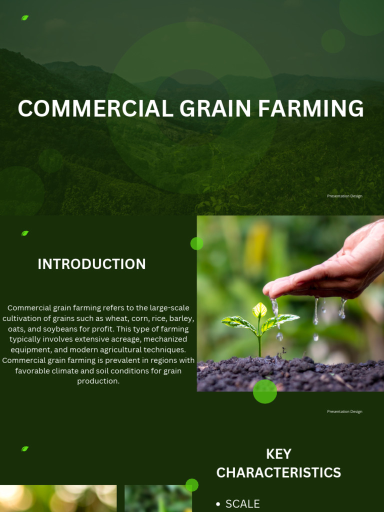 Commercial Grain Farming | PDF | Agriculture | Climate Resilience