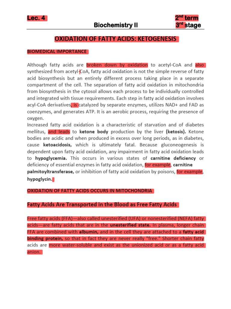 Biochemistry Lec 11 | PDF | Adenosine Triphosphate | Molecular Biophysics