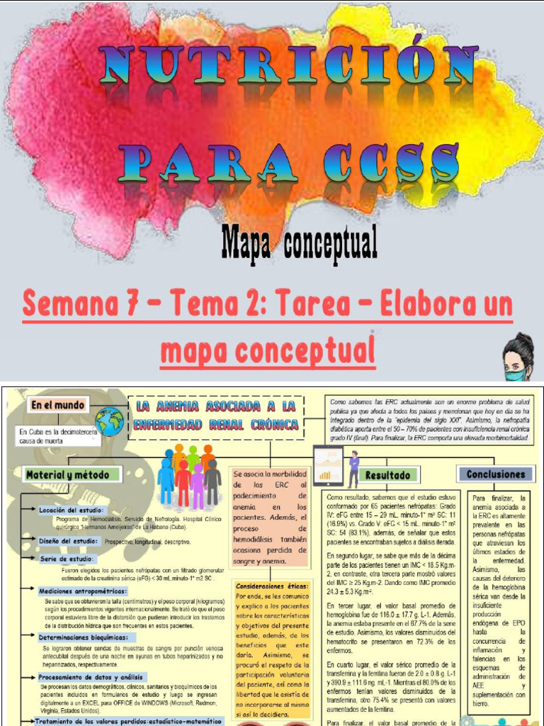 Elabora Un Mapa Conceptual | PDF