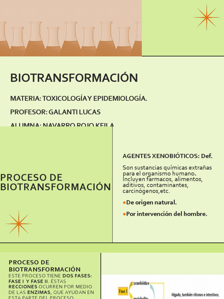 Bio Transformaci Ó N | PDF