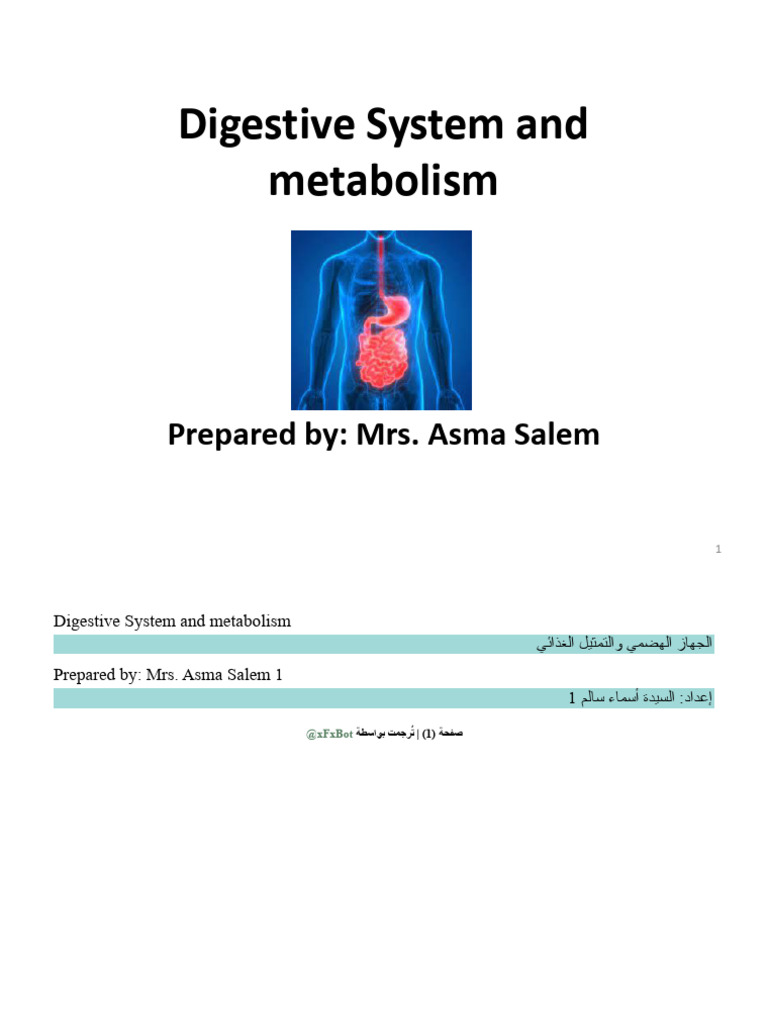 Digestive System 10-Ar | PDF