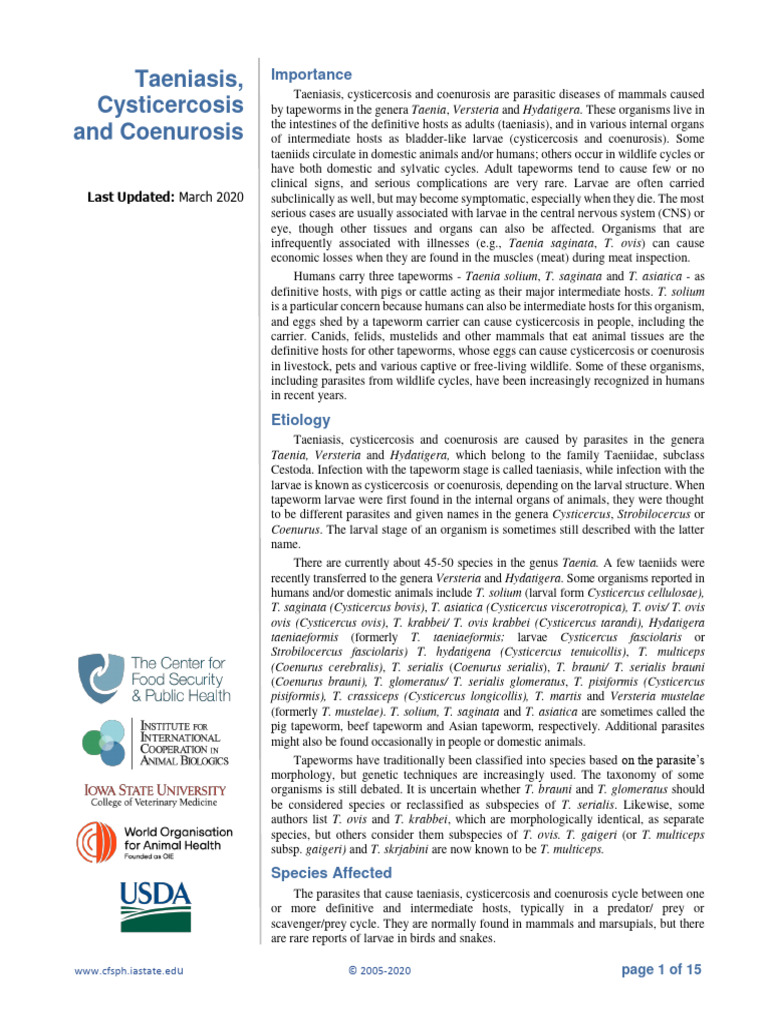 taenia | PDF