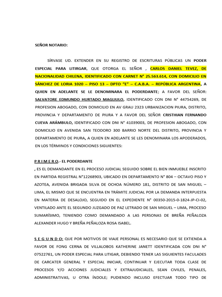 Minuta Poder Especial | PDF | Apelación | Gobierno