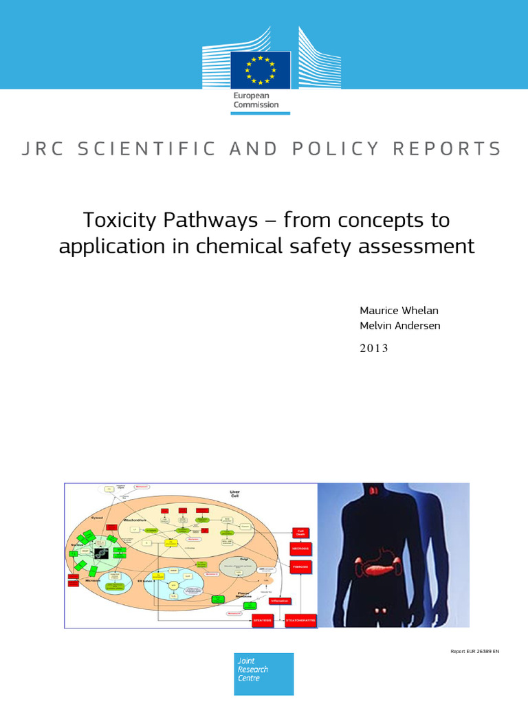 Toxicity Pathways in Chemical Safety Assessment | PDF | In Vitro | Risk