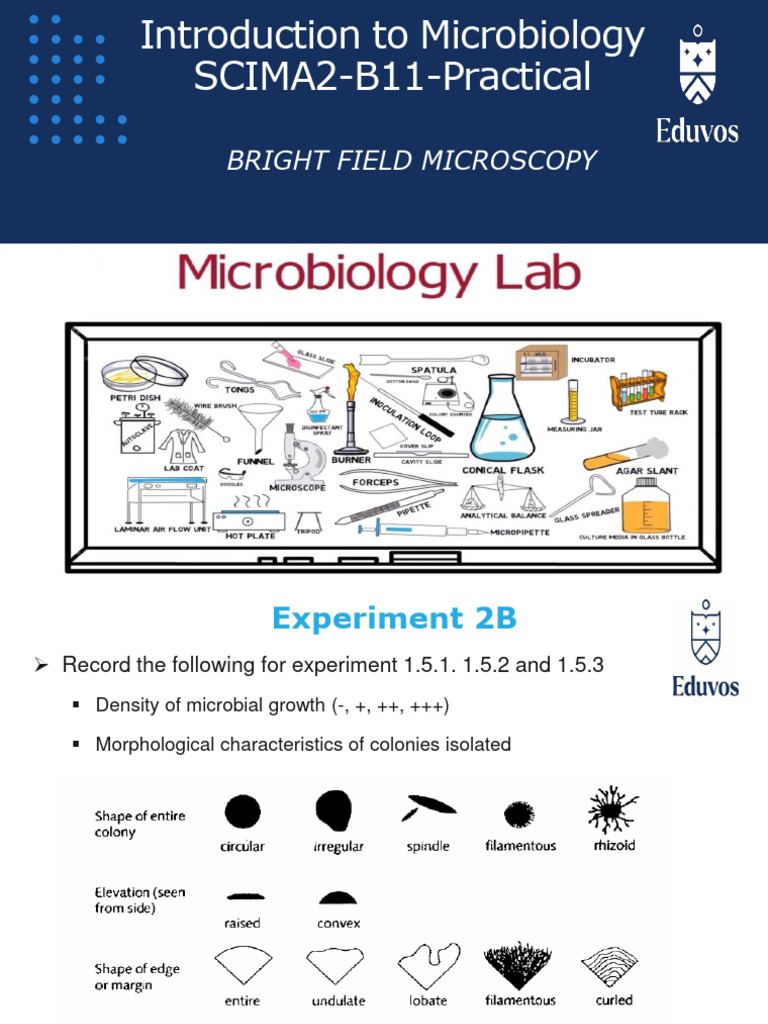 Week 2B - Bright Field Micros | PDF | Microscope | Techniques