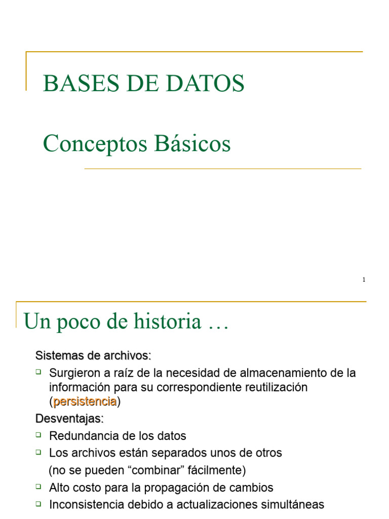 Base de Datos Conceptos Basicos | PDF | Bases de datos | Archivo de computadora