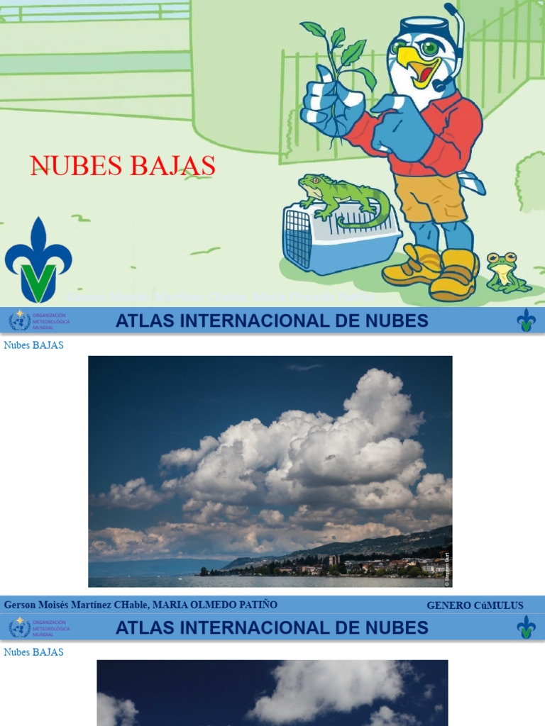 01 Atlas De Nubes Tl 2021 Cúmulus Pdf