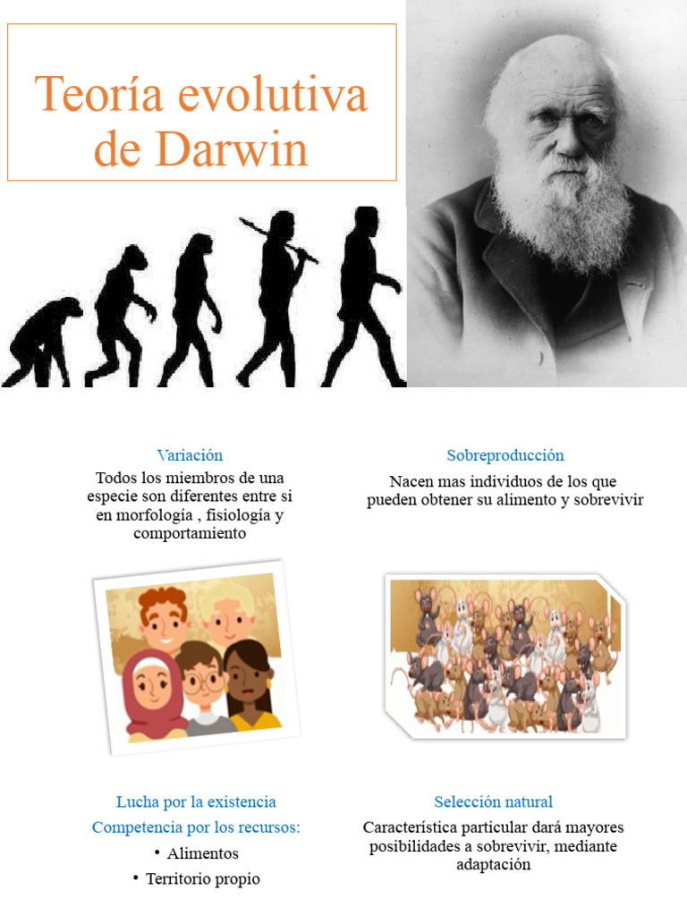 Teoría Evolutiva de Darwin | PDF
