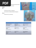 Maniobra de Mathieu en Exploración Abdominal | PDF | Abdomen | Bazo