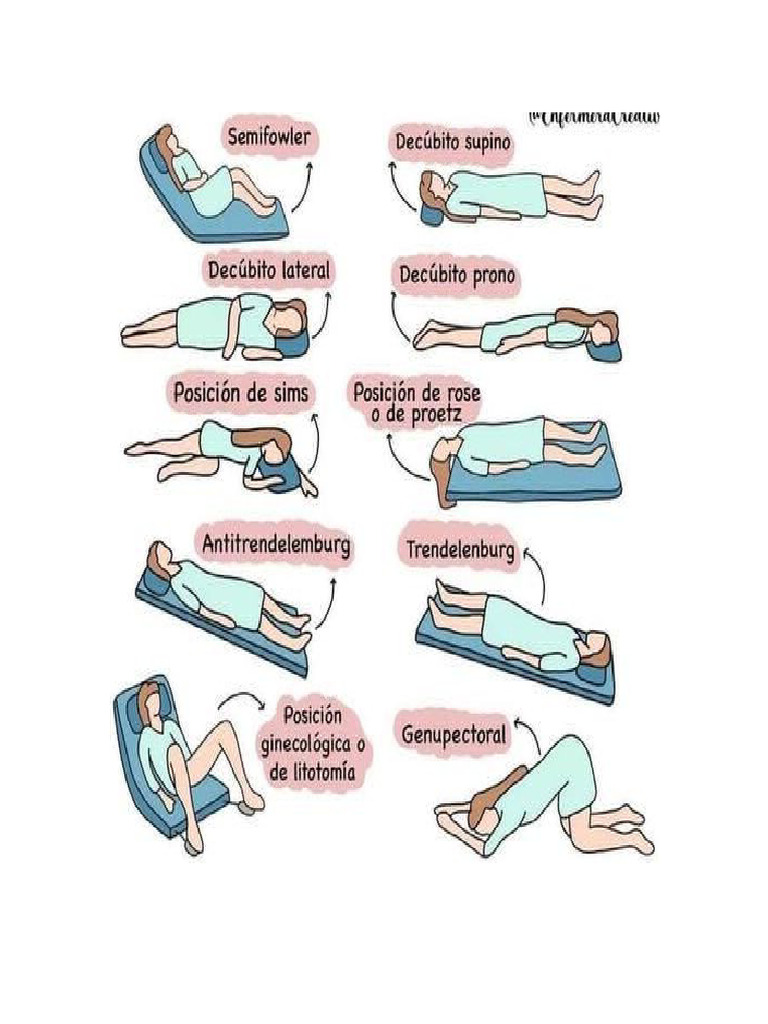 Posiciones Anatomicas | PDF