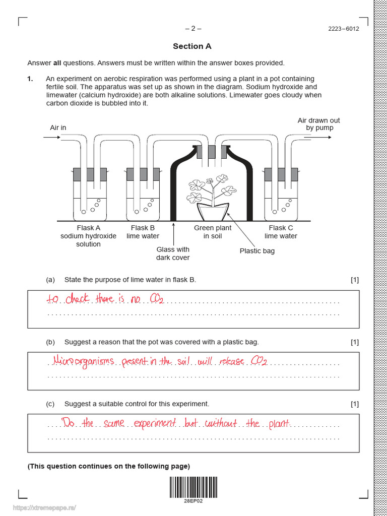 Plant | PDF | Materials | Chemical Substances