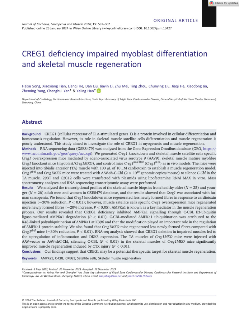 J Cachexia Sarcopenia Muscle - 2024 - Song - CREG1 Deficiency Impaired ...