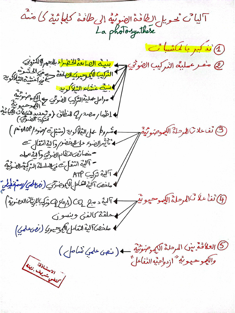 Bac 3olom 2024 | PDF