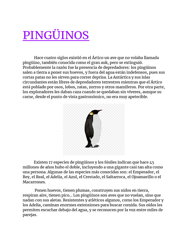 Información sobre los pingüinos | PDF