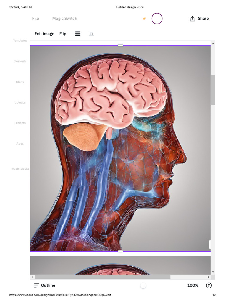 Picture of Brain | PDF