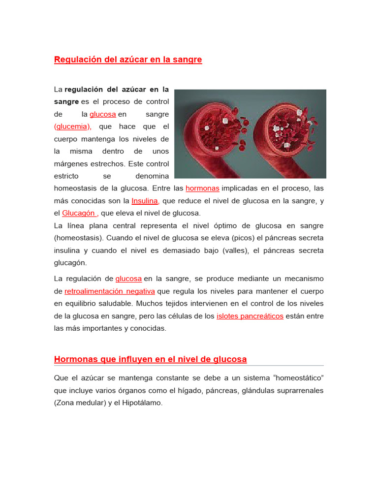 Regulacion de Azucar en La Sangre | PDF | Especialidades Medicas ...