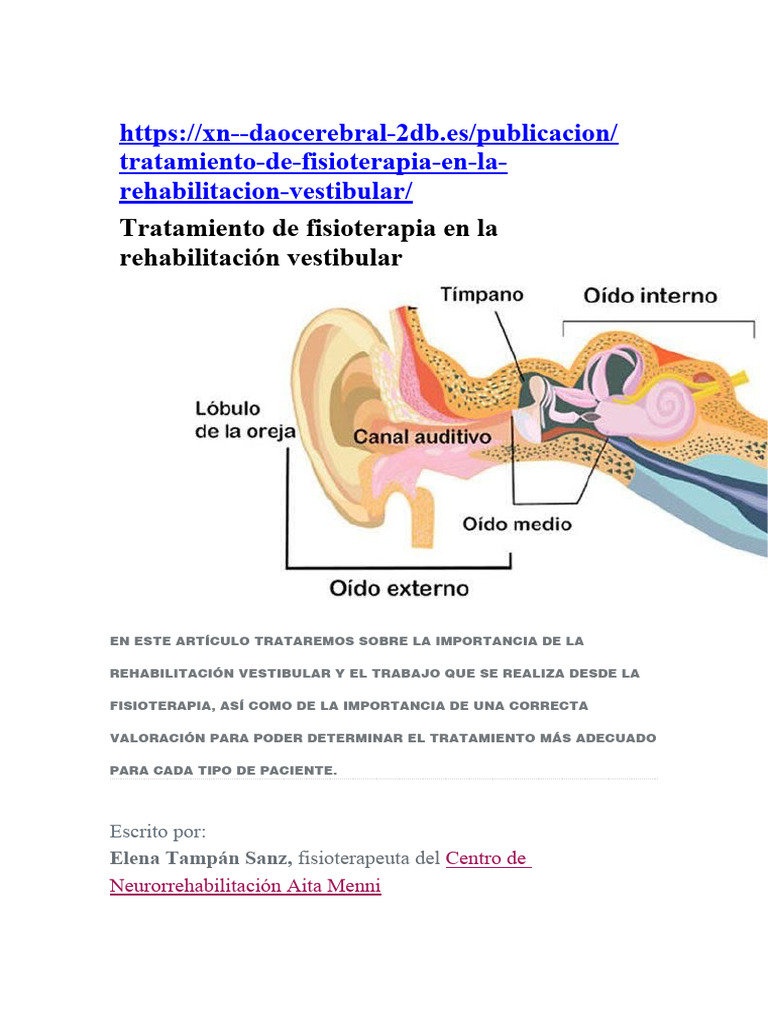 Fisioterapia en Rehabilitación Vestibular | PDF | Vértigo | Terapia física