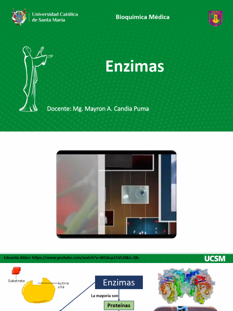 Enzimas | PDF | Enzima | Inhibidor de la enzima