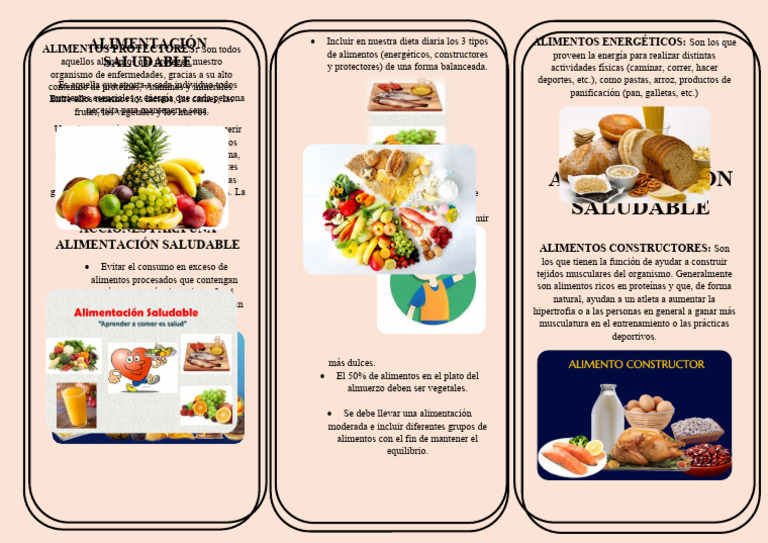 Triptico de La Alimentacion Saludable 3 | PDF | Alimentos | Dieta saludable