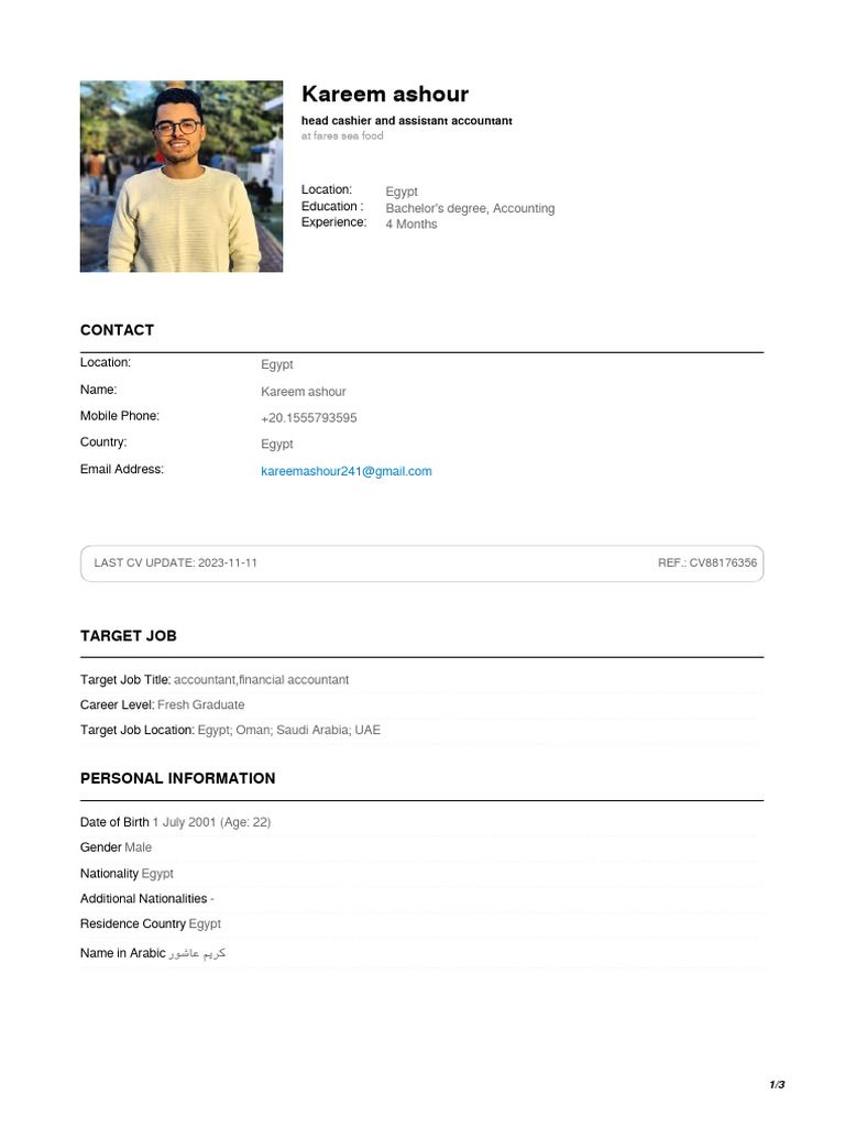Kareem Ashour CV 2 | PDF | Accountant