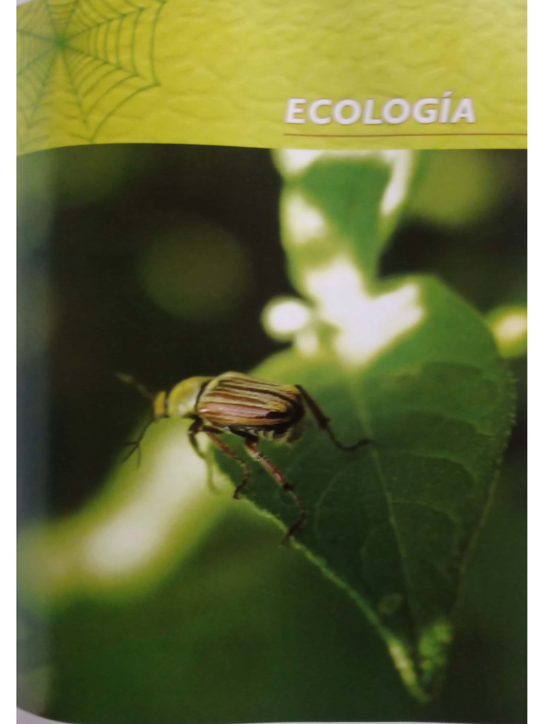 ECOLOGÍA - Acuática y Terrestre | PDF