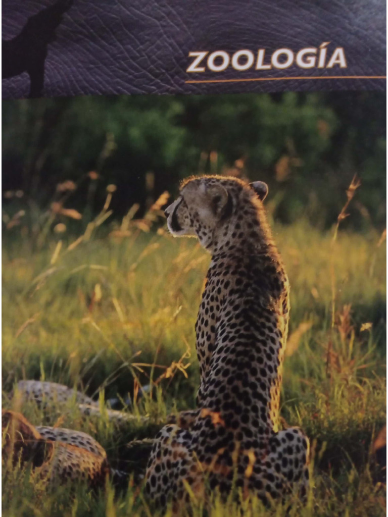 Zoología 1 | PDF