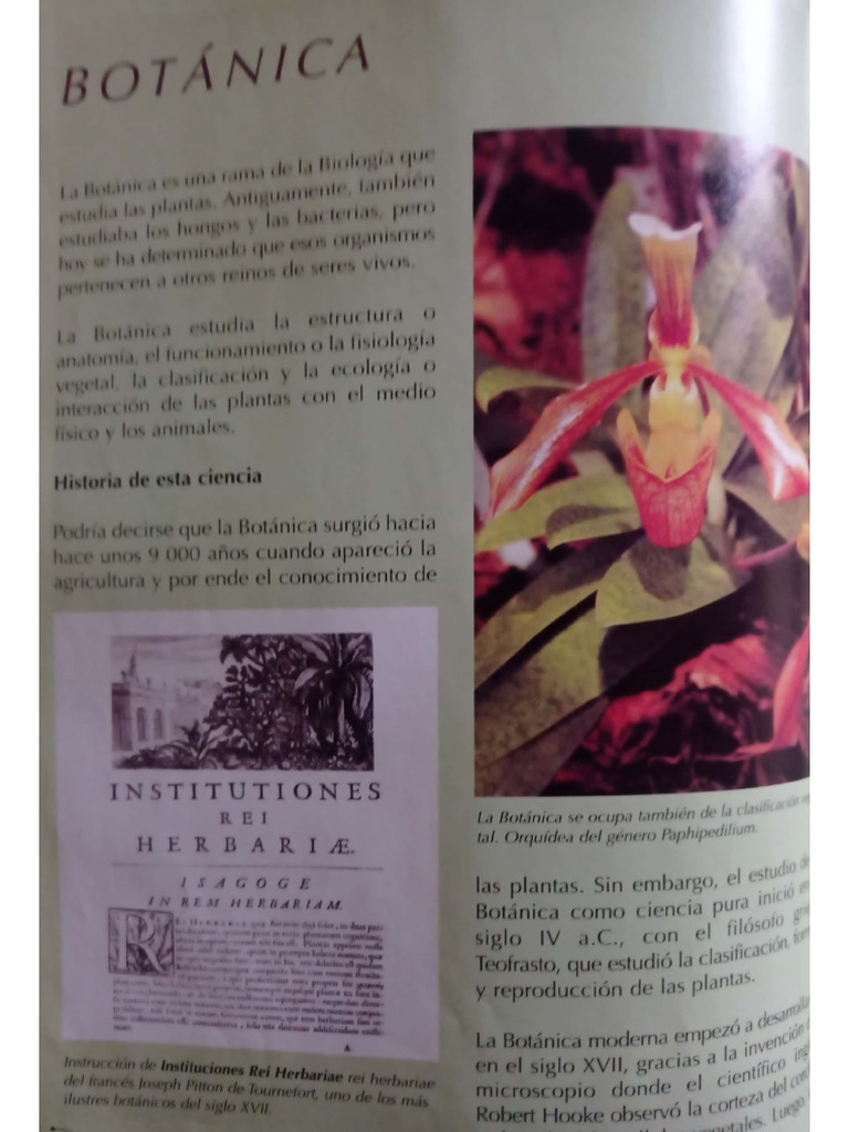 Botanica 1 | PDF