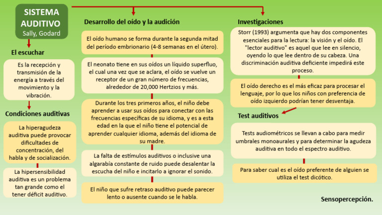 Diagrama Sistema Auditivo | PDF | Escuchando | Oído