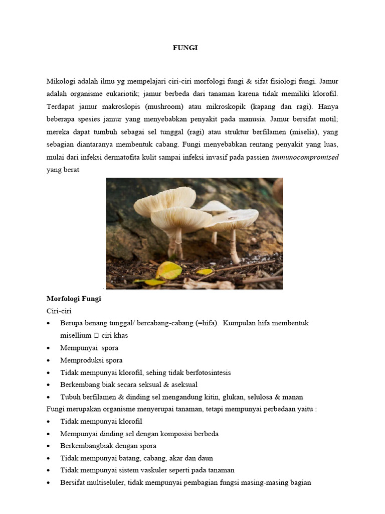 Jamur Dan Klasifikasi | PDF | Sains & Matematika | Kesehatan Holistik
