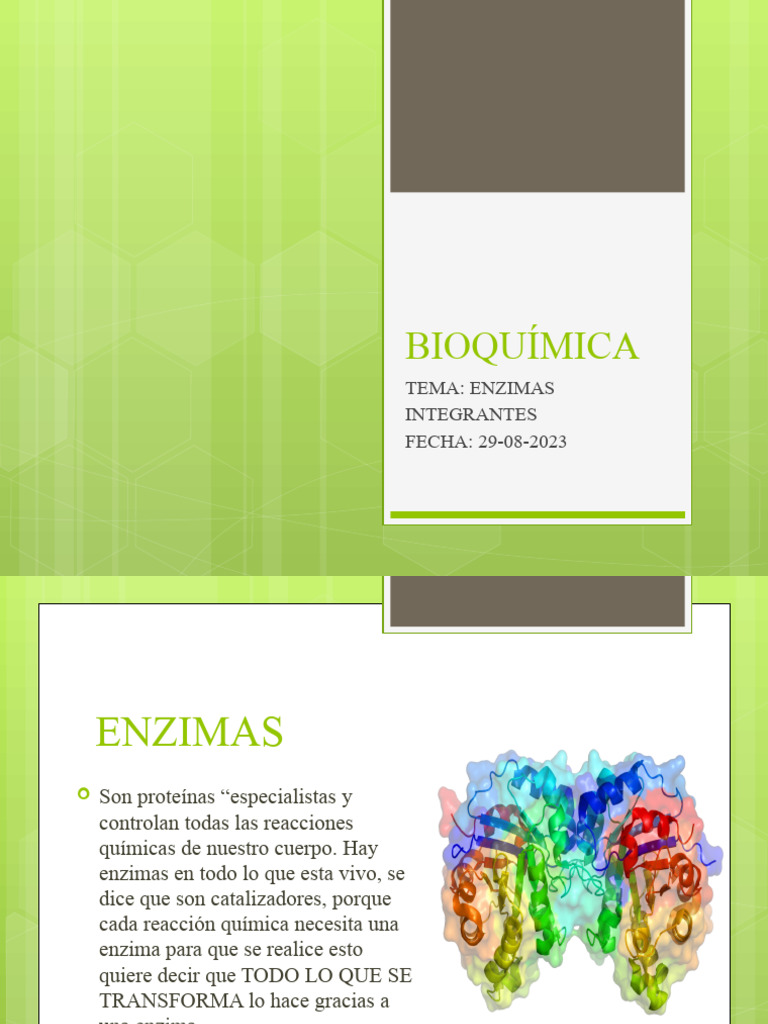 BIOCA ENZIMAS | PDF
