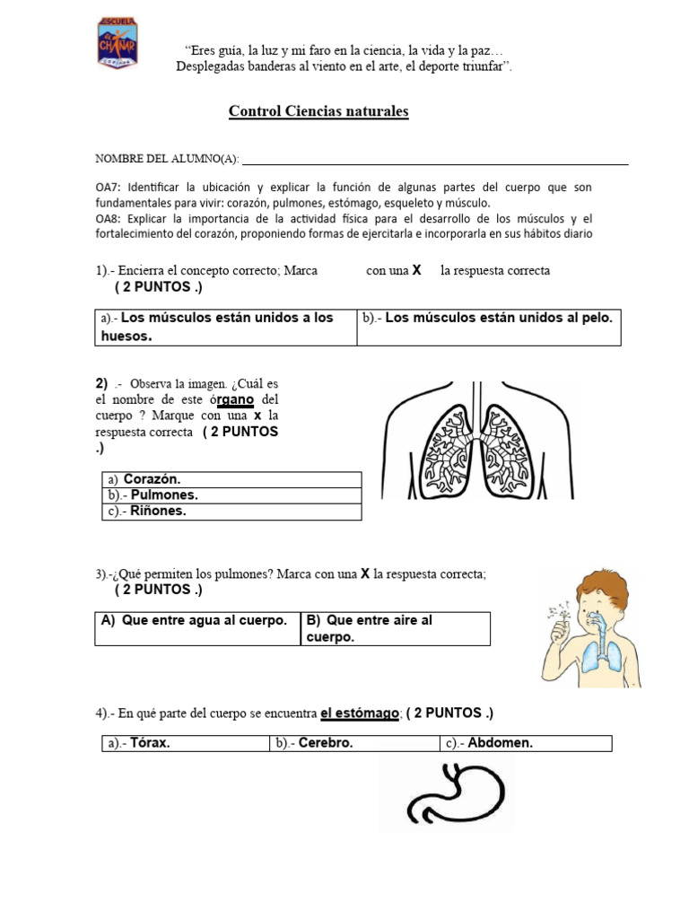 Funciones y cuidados del cuerpo humano | PDF | Corazón | Anatomía