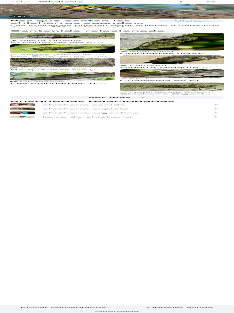 Insectos Grandes Que Chillan - Buscar Con Google | PDF