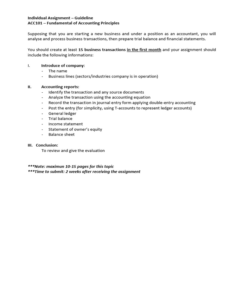 Invidual Assigment ACC101 - Guideline | PDF