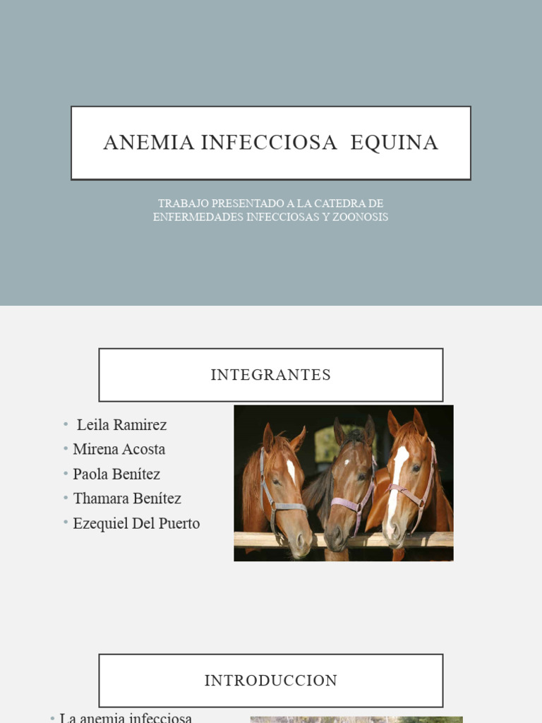 Anemia Infecciosa Equina | PDF | Infección | Salud pública