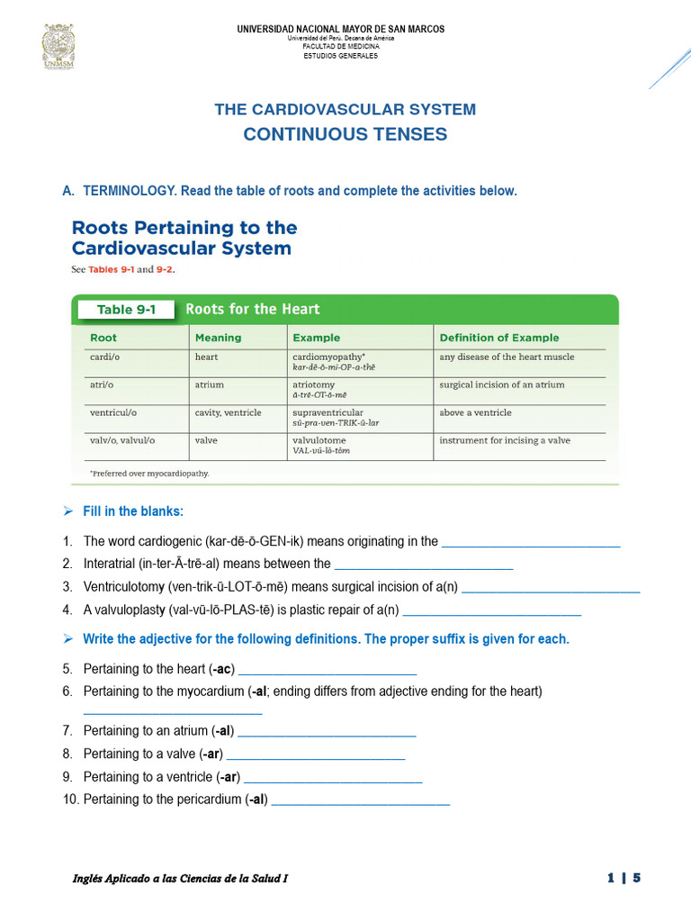 S5 - Cardiovascular System - Practice | PDF | Heart | Blood Vessel