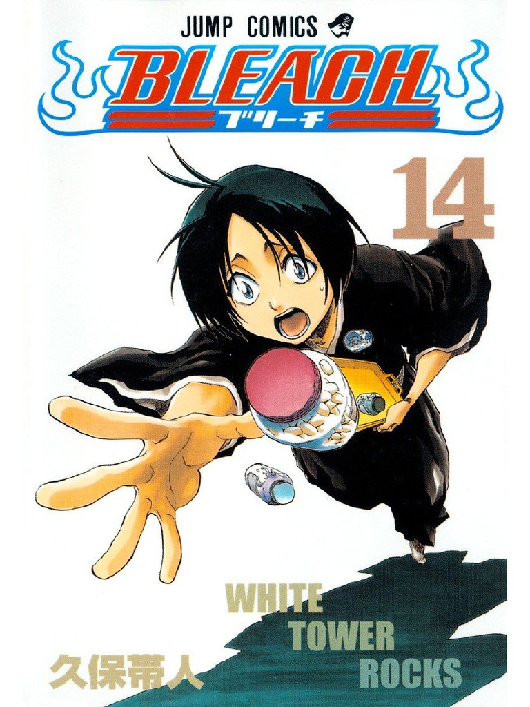 Bleach Vol.14 | PDF