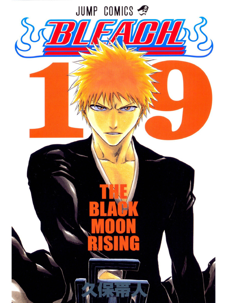 Bleach Vol.19 | PDF