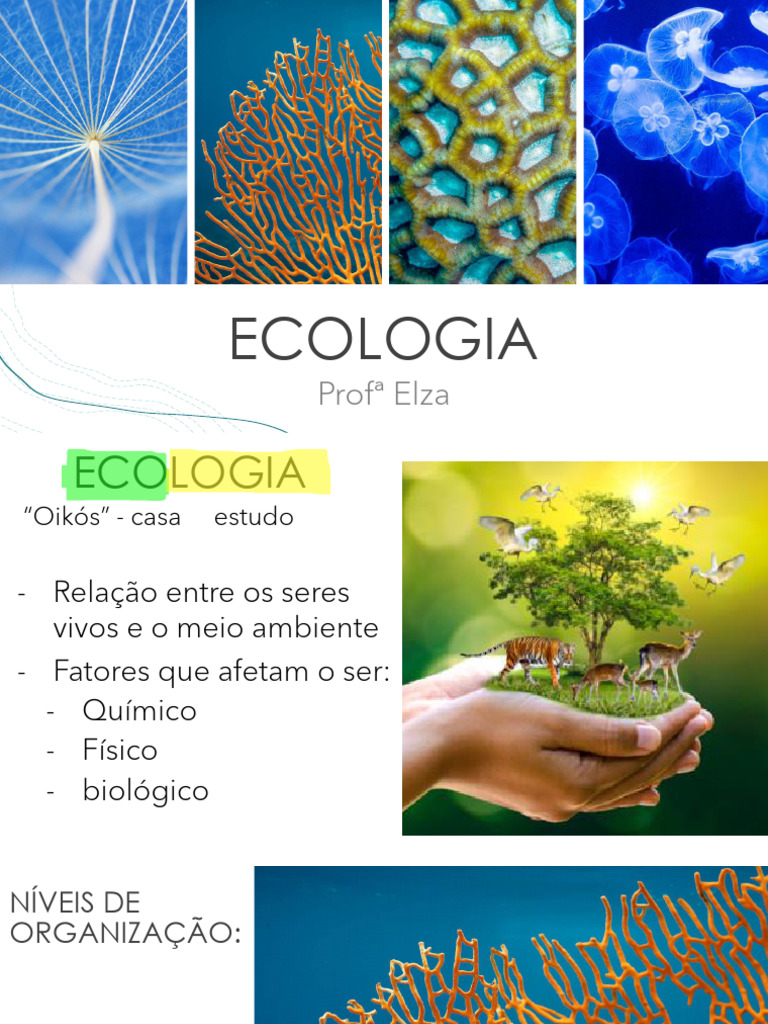 Aula 2 Ecologia Download Grátis Pdf Ecologia Ecossistema