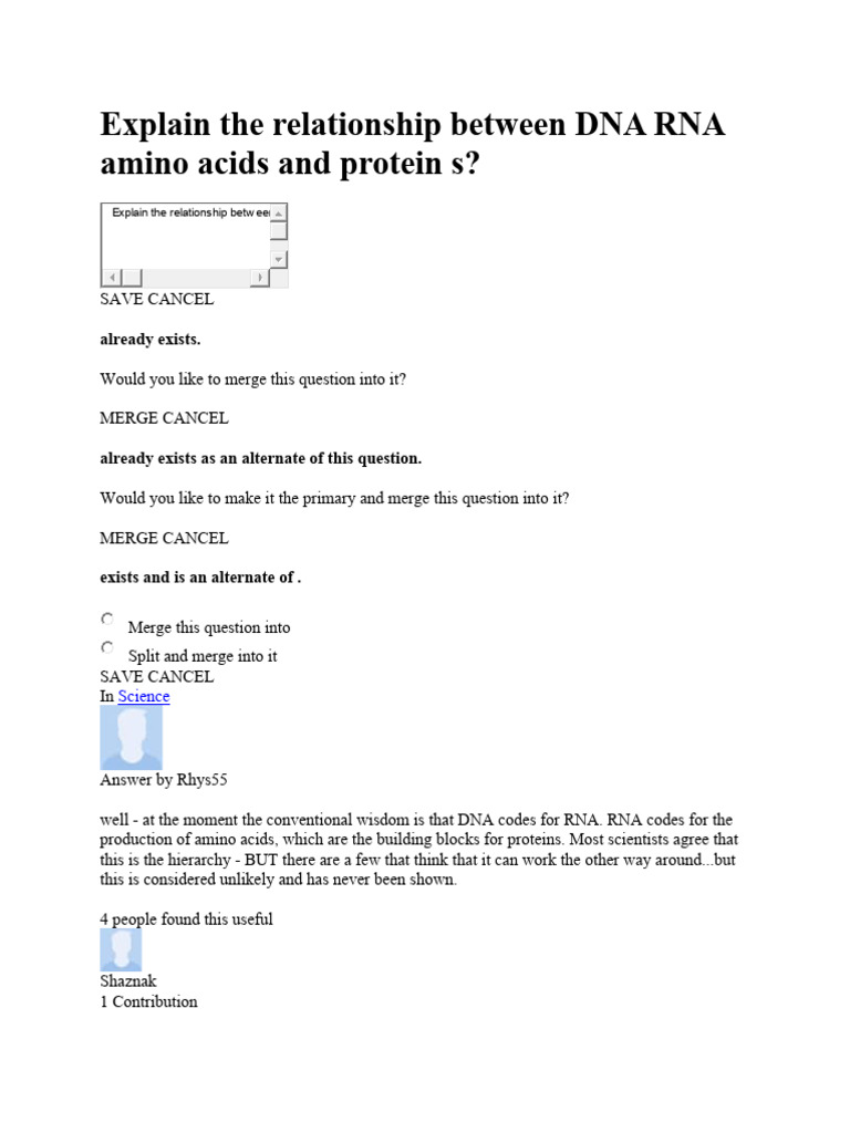 Explain the relationship between DNA RNA amino acids and protein s ...
