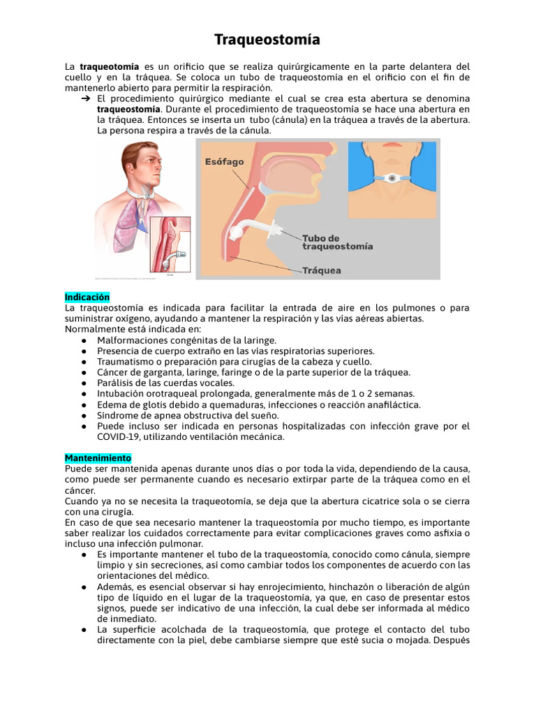 Traqueostomía | PDF | Sistema respiratorio | Enfermedades y trastornos