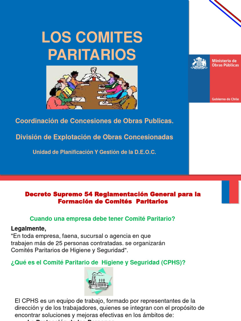 Funcionamiento del Comité Paritario en Chile | PDF | Business | Gobierno