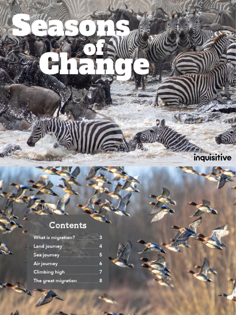 Seasons of Change | PDF | Bird Migration | Whales