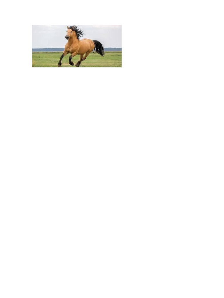 CABALLO | PDF