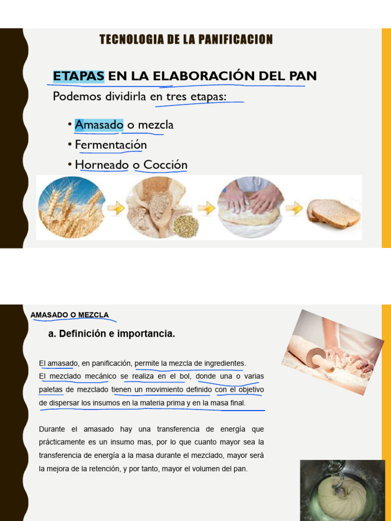 Capítulo Melgarejo_ETAPAS EN LA ELABORACIÓN DEL PAN | Descargar gratis ...