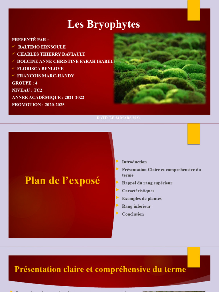 Bryophytes | PDF | Plantes | Mousse