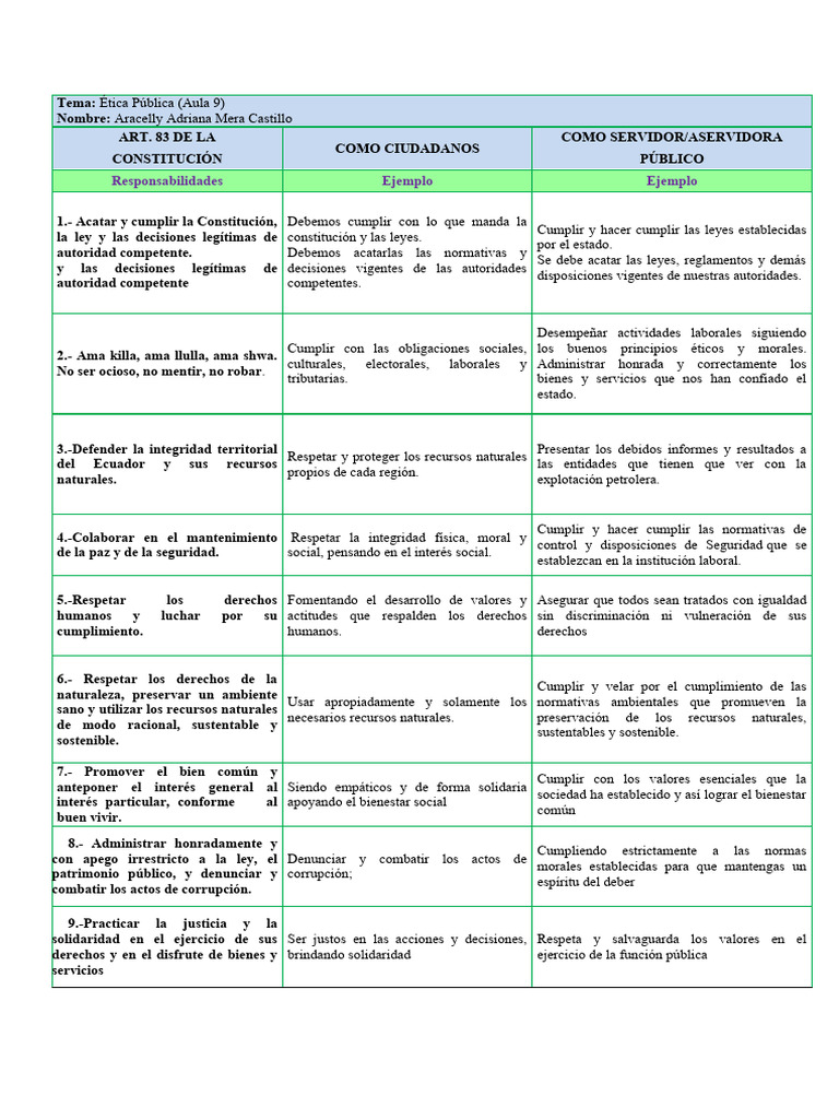 Ejercicio 2 Seción 2 Cuadro de Responsabilidades Aracelly Mera | PDF | Sustentabilidad ...