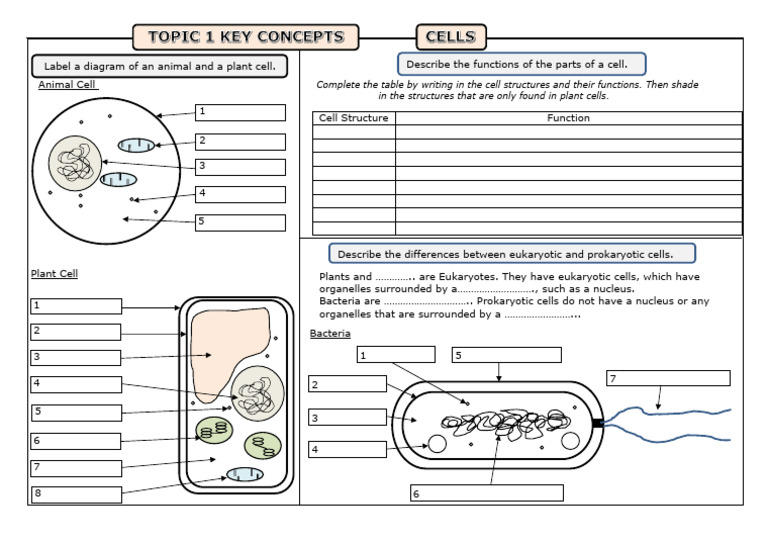 Cells Worksheet | PDF